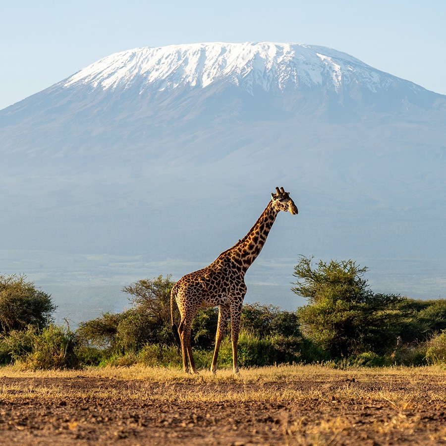 Tanzania: Arusha, Tarangire, Karatu, Ngorongoro y Zanzíbar desde 2,595 ...