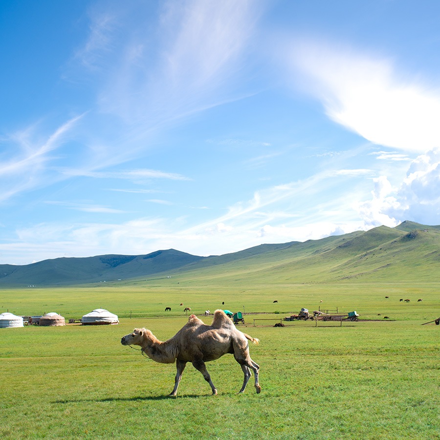 Mongolia: Valle de Orjón desde 5,514 €. El mejor precio en Logitravel.