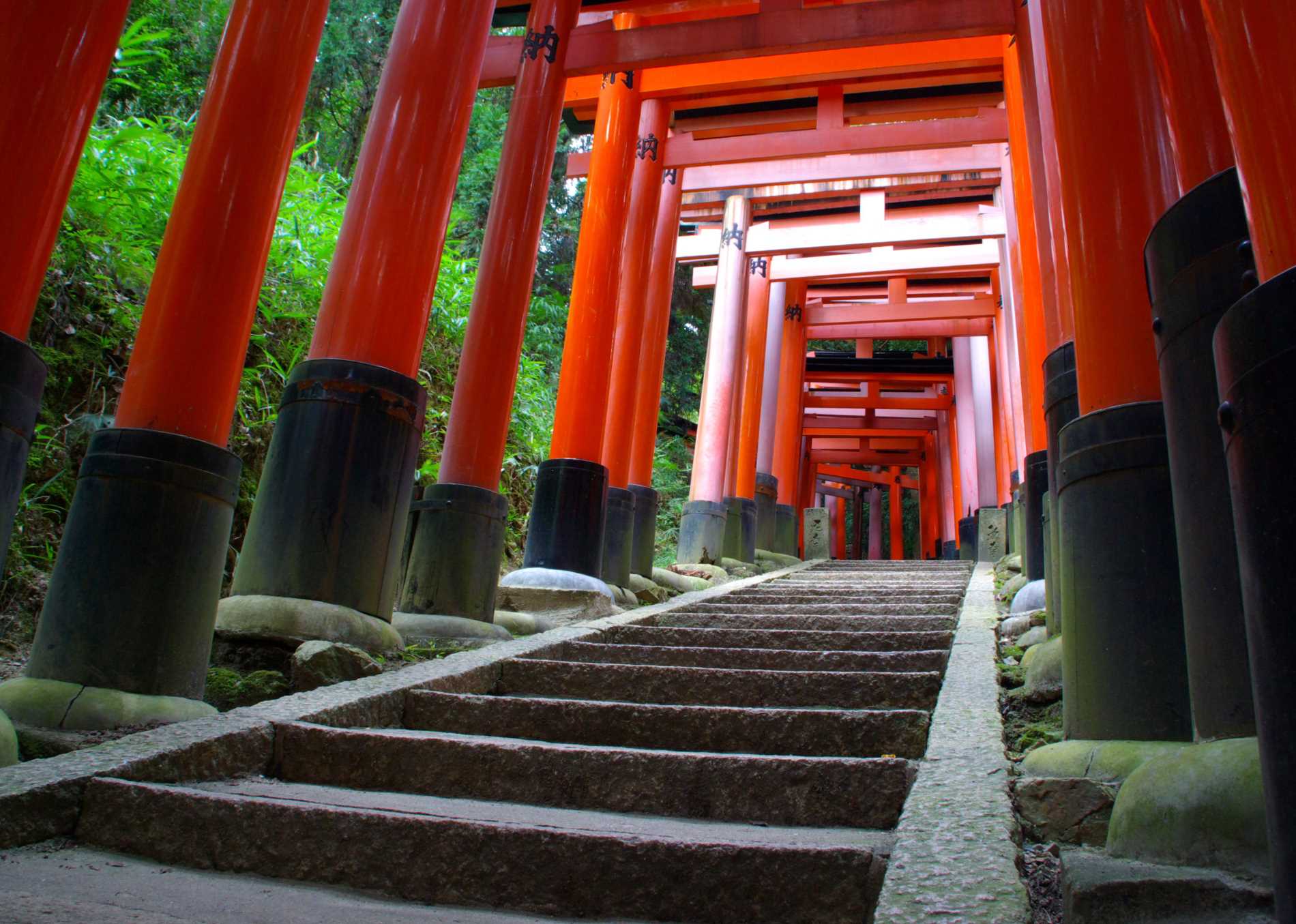 Japón: Gran Tour de Japón desde 5,381 €. El mejor precio en Logitravel.