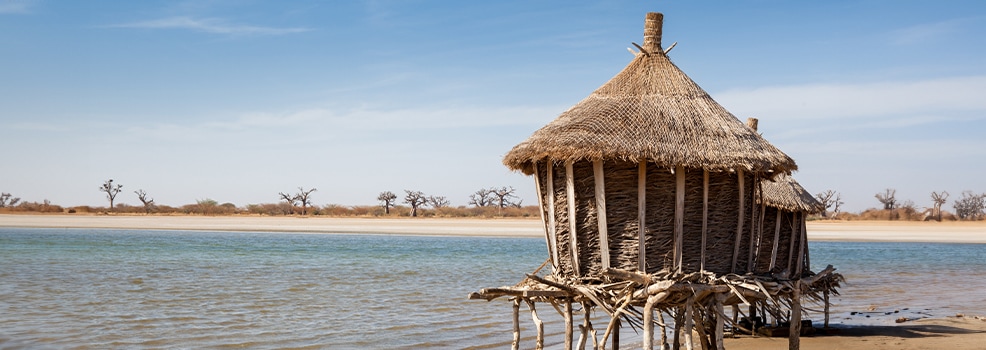 Senegal: Dakar y Petit Côte-Saly Portudal desde 576 €. El mejor precio ...